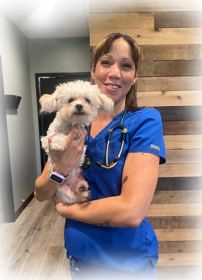 Home - Peak Pet Urgent Care